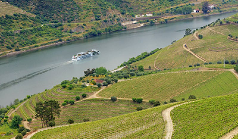 Expert Insight. Exclusive Deals. | CruiseInsider